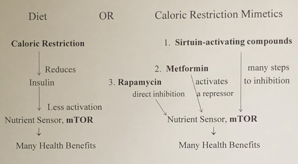 Insight 9 - Replacement for caloric restriction - Longevitybuilder ...